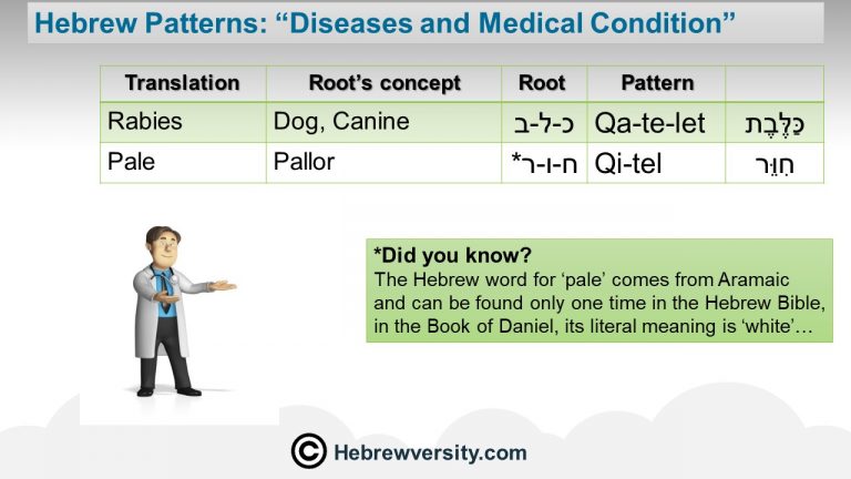 Hebrew Patterns Examples - hebrewversity