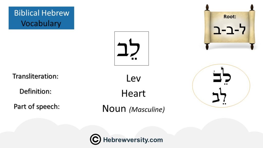 How To Say Heart In Hebrew Hebrewversity How To Say Heart In Hebrew Hebrewversity