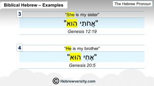 Biblical Hebrew Examples: The Hebrew Pronoun - hebrewversity
