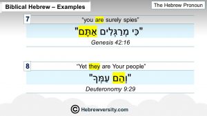 Biblical Hebrew Examples: The Hebrew Pronoun - hebrewversity