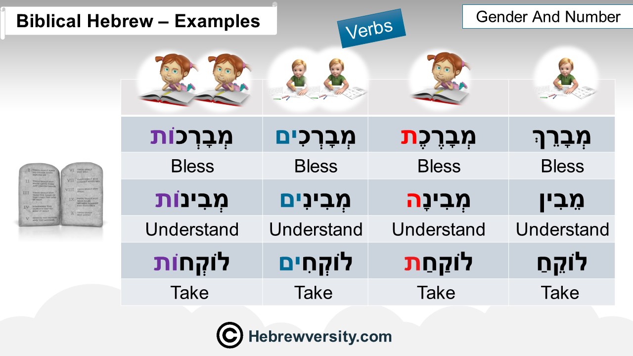 Biblical Hebrew Examples: Gender and Number - hebrewversity