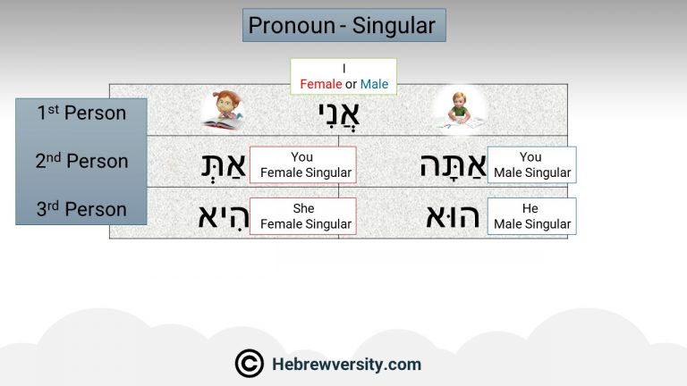 The Hebrew Pronoun - hebrewversity